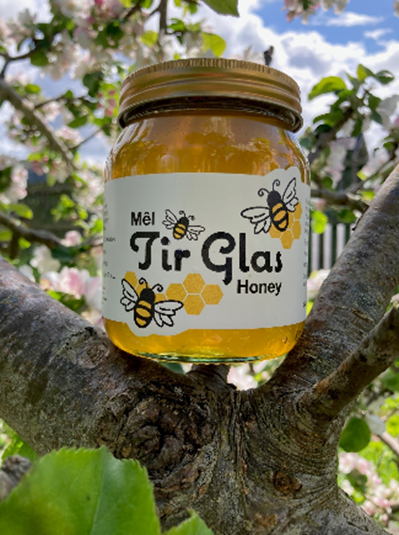 Tir Glas: A Sustainable Haven for Bees – HES 2020-2024